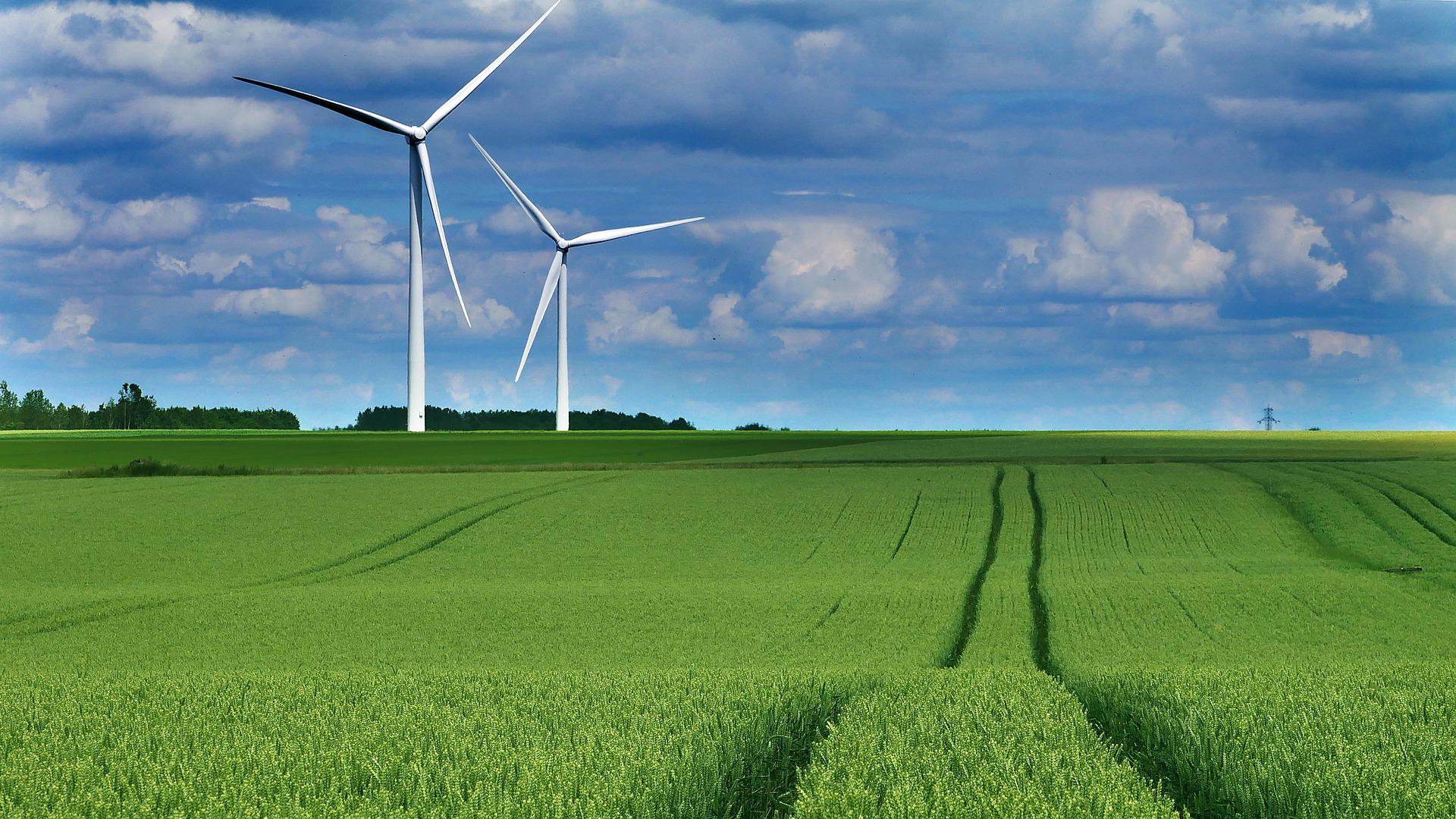 Three green energy sources and why they are better for the planet ...