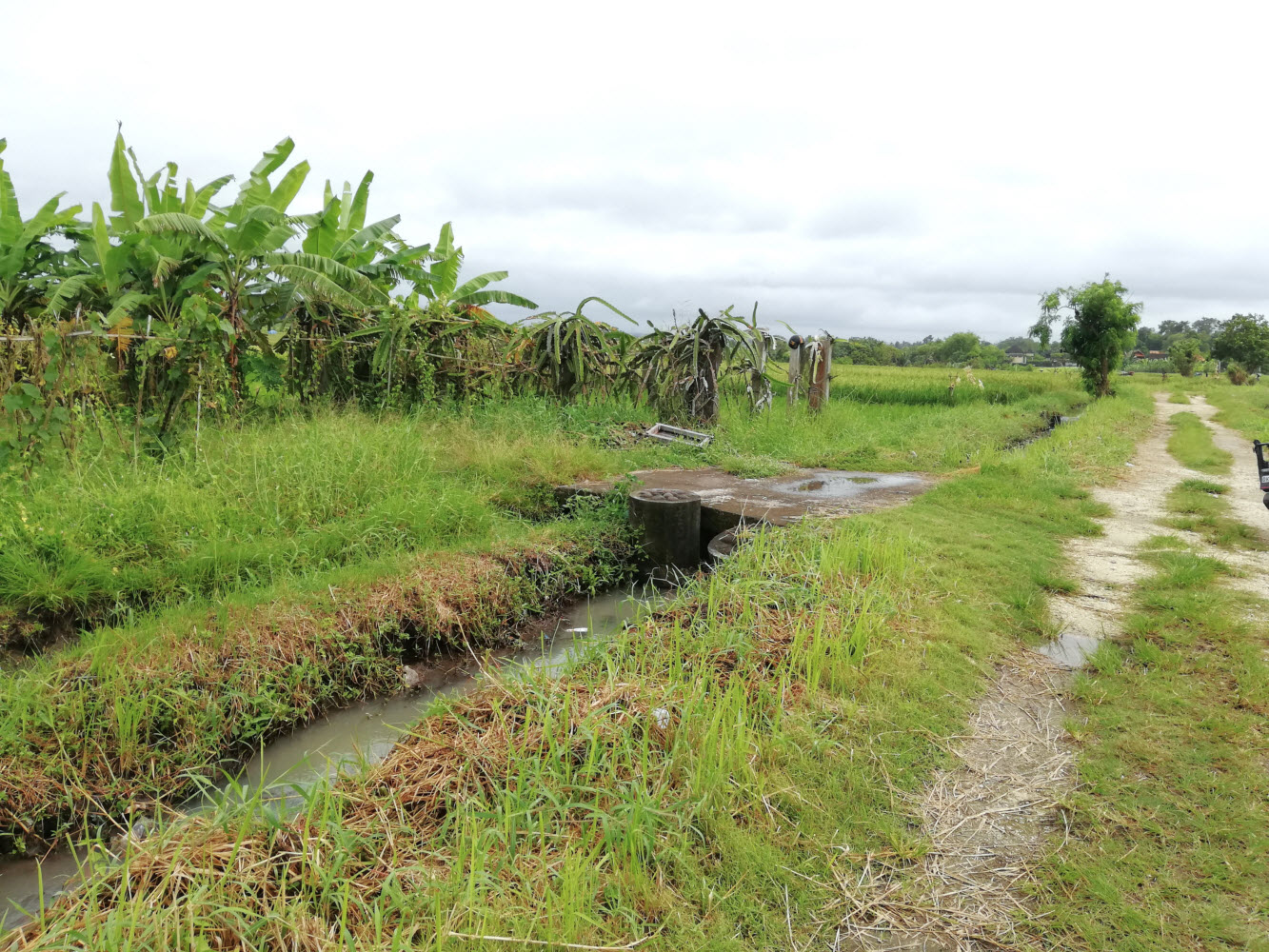 Yeh Gangga, 11.75 ARE Riverfront Land (Indonesia, Bali, Yeh Gangga ...